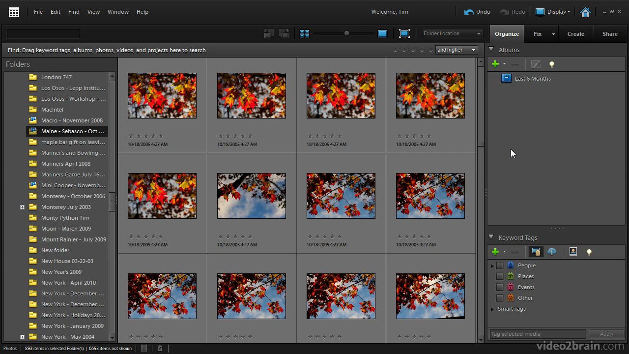 Learn adobe photoshop elements 9 video training tutorials : utscatda