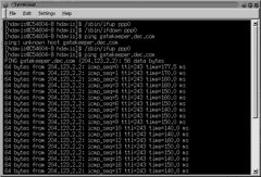 Figure 4.11 Use a terminal window to enter the commands to dial up your ...