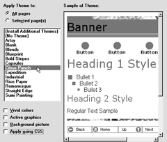 FrontPage 2000 for Windows: Visual QuickStart Guide - The Web Site