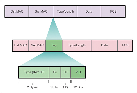 Chapter 6 VLANs (Troubleshoot VLANs and Trunks (Introduction to…